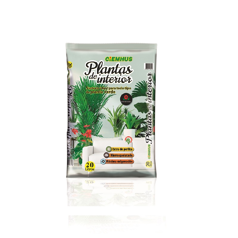 Cuidado De Plantas De Interior En Invierno Abonos Organicos 2228